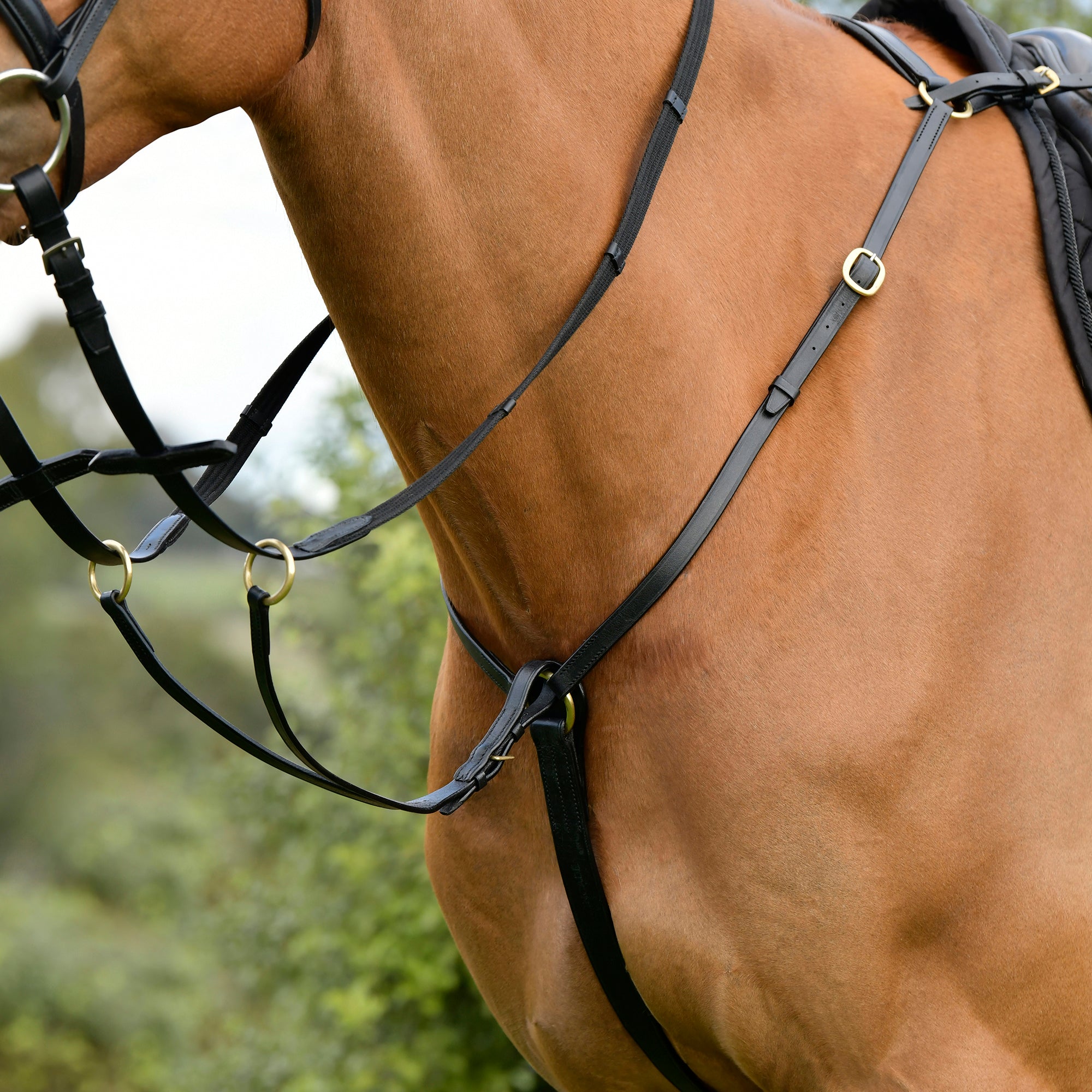 Kincade Classic 3 Point Breastplate with Running Martingale | Millbry Hill