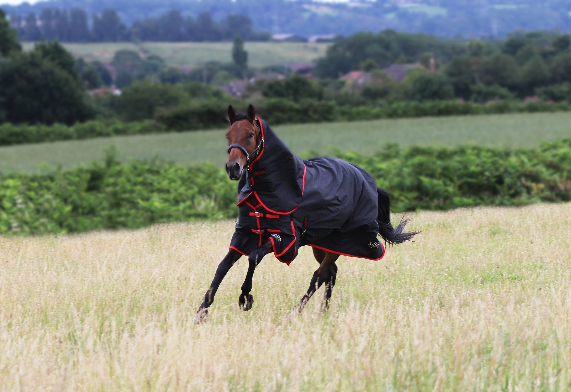Gallop Equestrian - Horse Rugs & Saddlery | Millbry Hill
