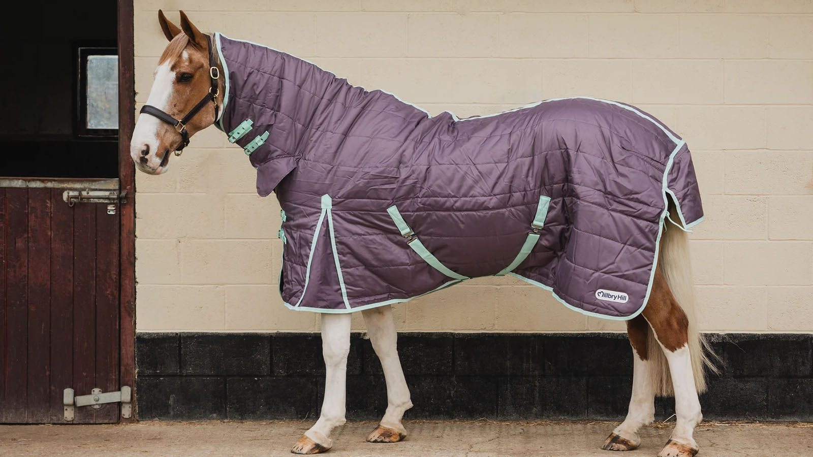 Stable Rugs for Horses | Free Delivery | Millbry Hill
