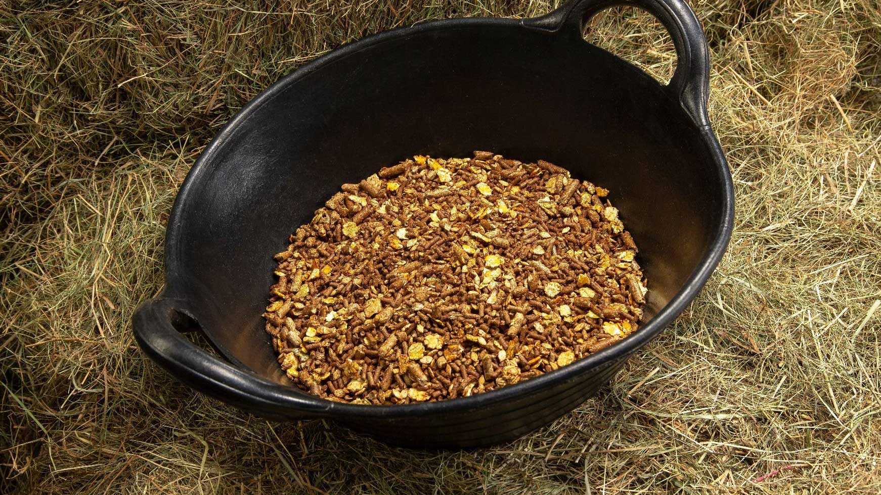 Red Mills Leisure Feeds & Horse Feeds for Good Do-ers – Millbry Hill