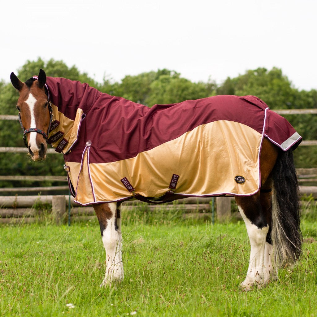 Gallop Trojan Xtra Fly Turnout Combo Waterproof Fly Rug | Millbry Hill