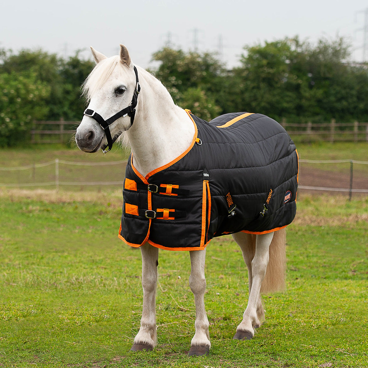 Gallop Ponie 100g Standard Stable Rug - Black Orange | Millbry Hill