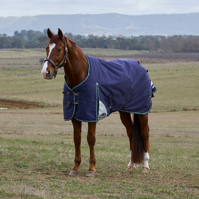 Lightweight Turnout Rugs: 0g, 50g & 100g Fill Turnouts | Millbry Hill