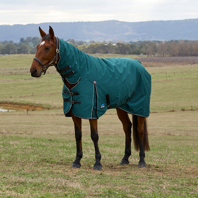 Lightweight Turnout Rugs: 0g, 50g & 100g Fill Turnouts | Millbry Hill