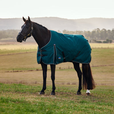 Lightweight Turnout Rugs: 0g, 50g & 100g Fill Turnouts | Millbry Hill