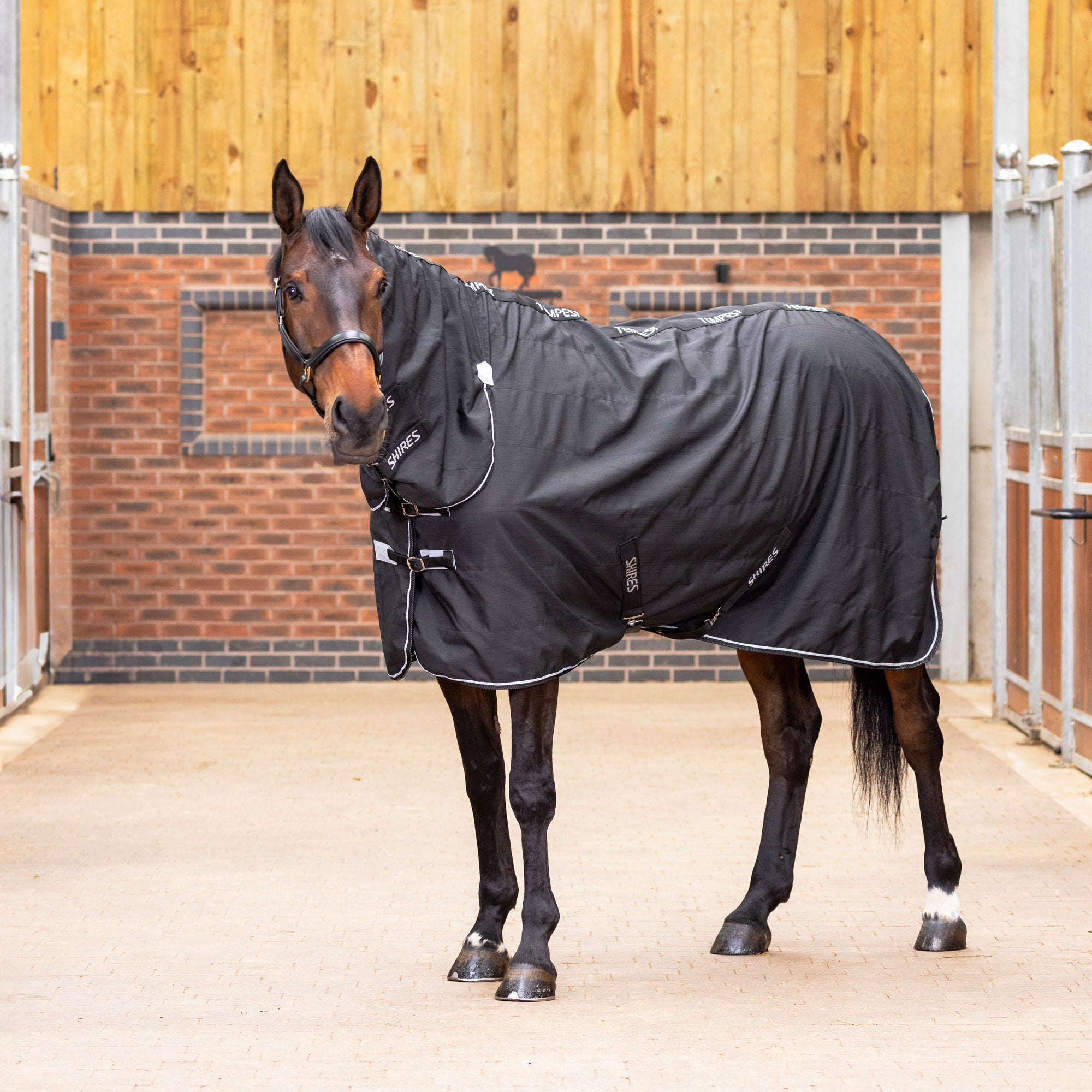 Shires Tempest Lite Combo Stable Rug | Millbry Hill