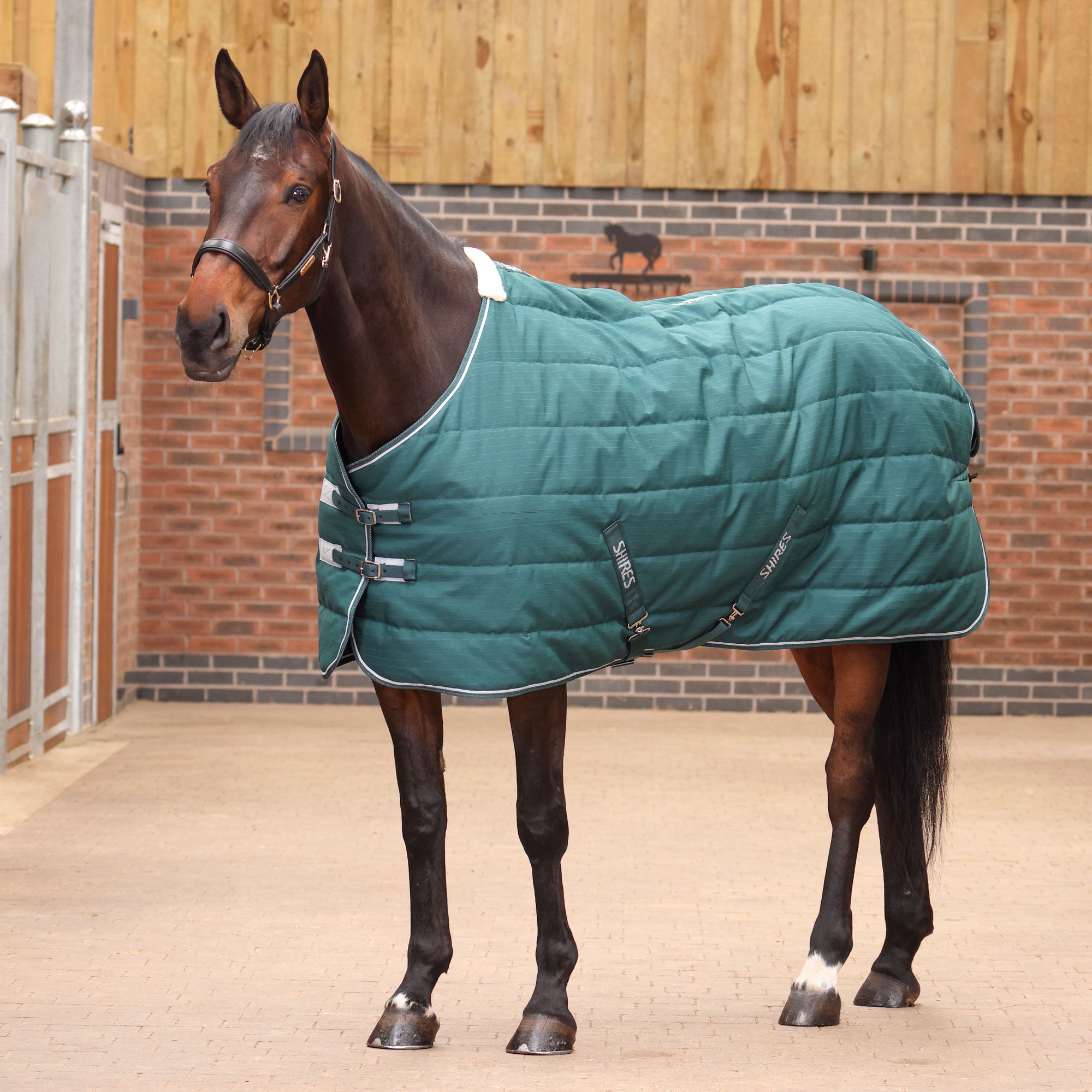 Shires Tempest Original 200g Stable Rug | Millbry Hill