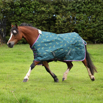 Lightweight Turnout Rugs: 0g, 50g & 100g Fill Turnouts | Millbry Hill