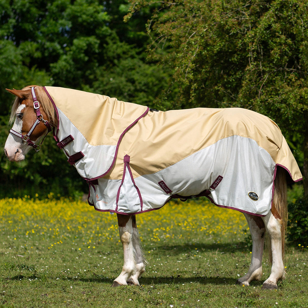 Gallop Trojan Dual Lightweight Fly Turnout Rug & Neck Set - Beige ...