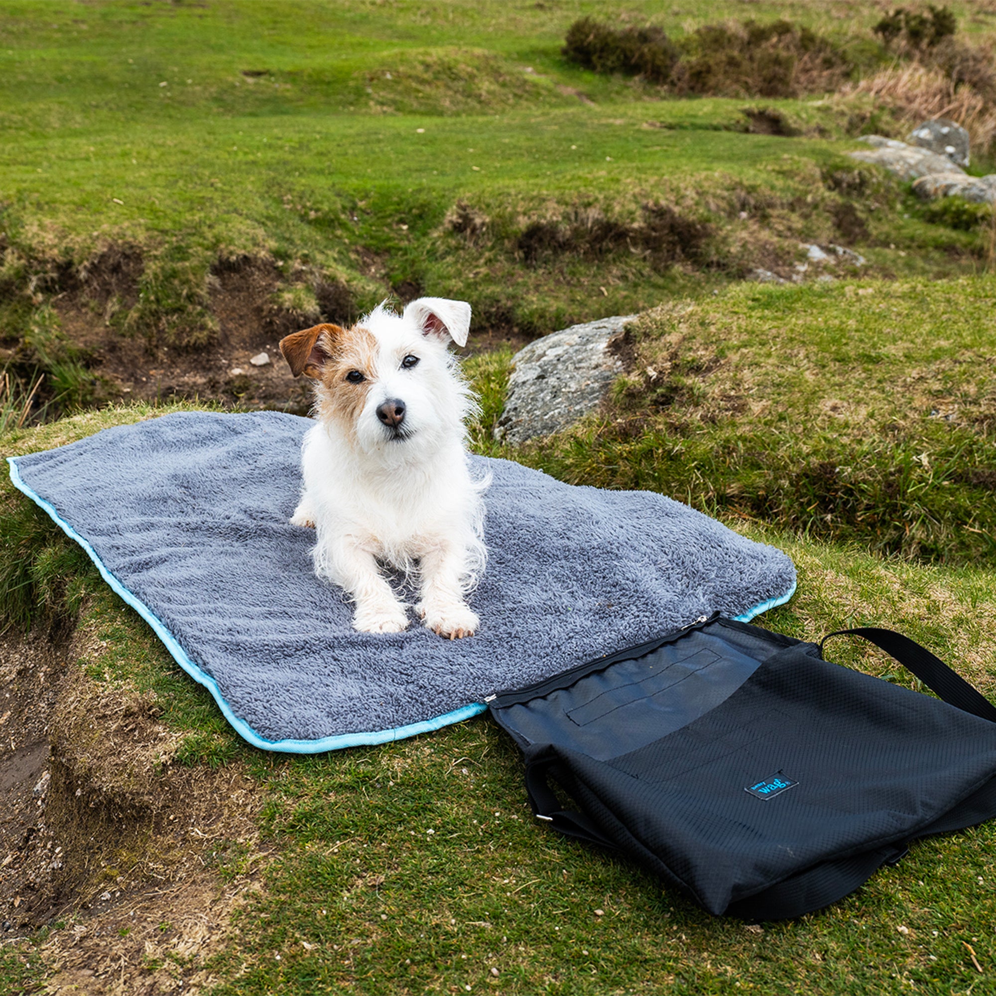Henry Wag Easy-Roll Travel Pet Bed | Millbry Hill