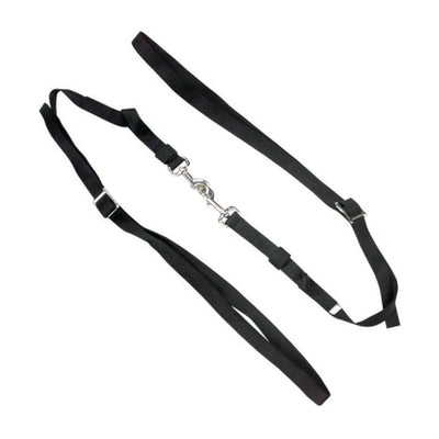 Horse Lunging Equipment & Training Aids | Millbry Hill