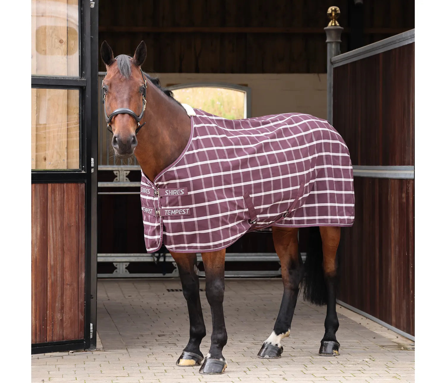 Shires Tempest Original Stable Sheet - Maroon Check | Millbry Hill