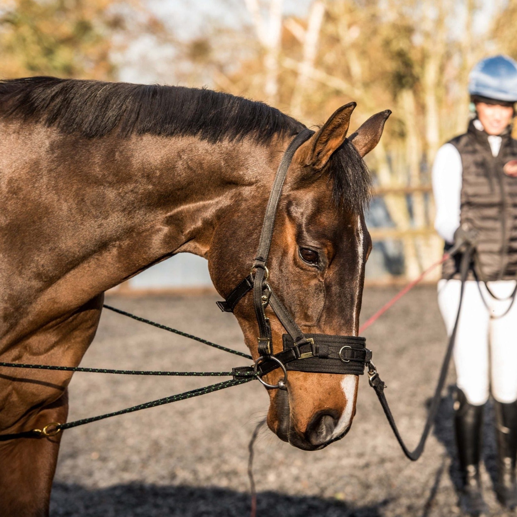 EquiAmi Lunge Cavesson with Bit Straps | Millbry Hill