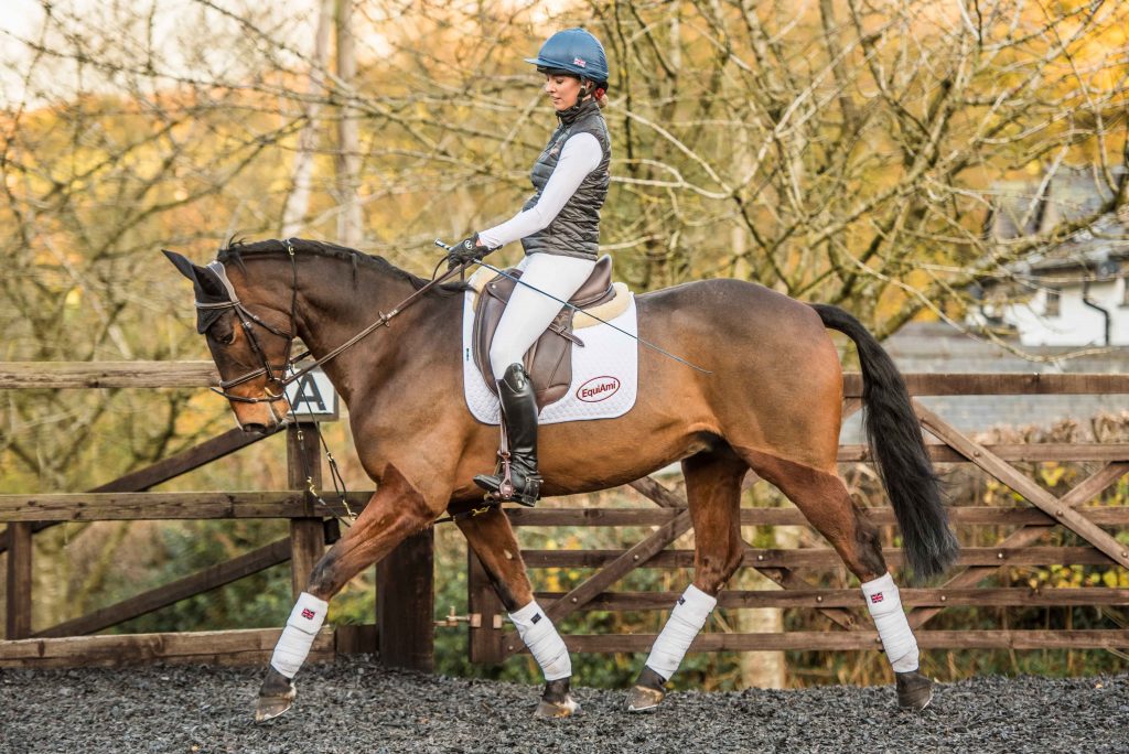 EquiAmi Standard Riding Aid | Millbry Hill
