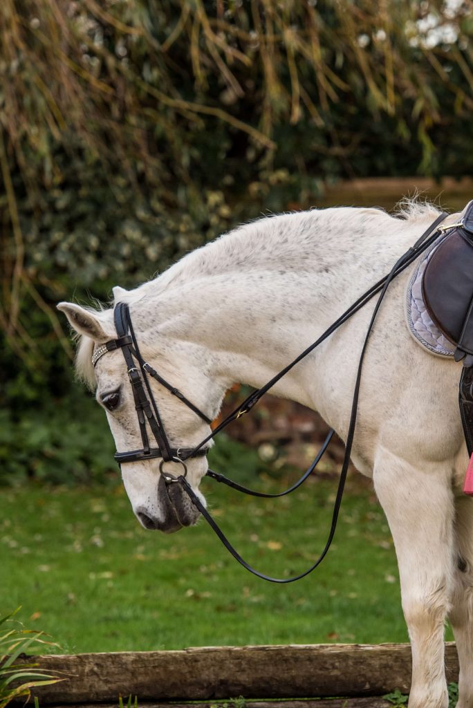 EquiAmi Pony Grass Rein | Millbry Hill