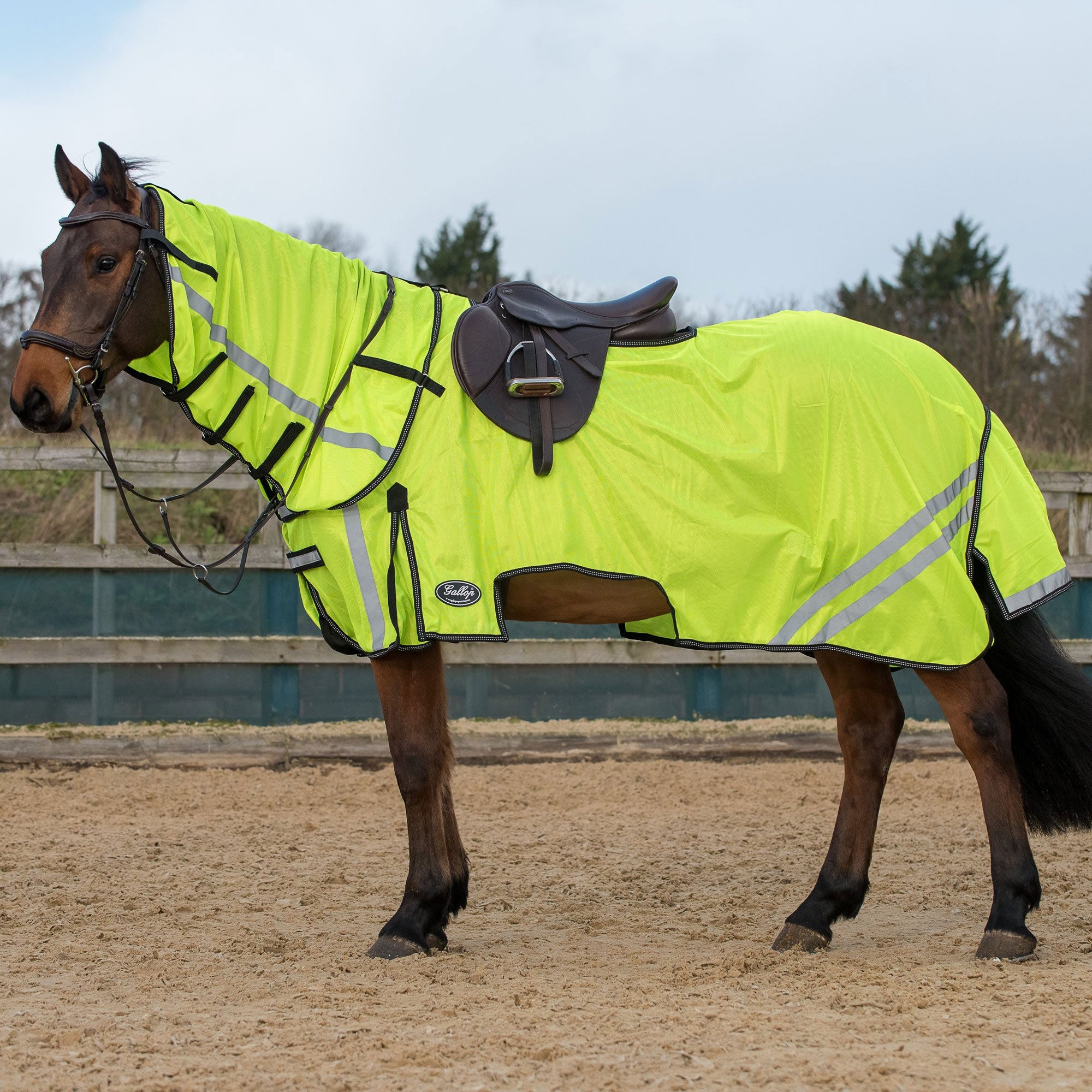 Gallop Ride On Detachable Neck Fly Rug Hi-Vis | Millbry Hill