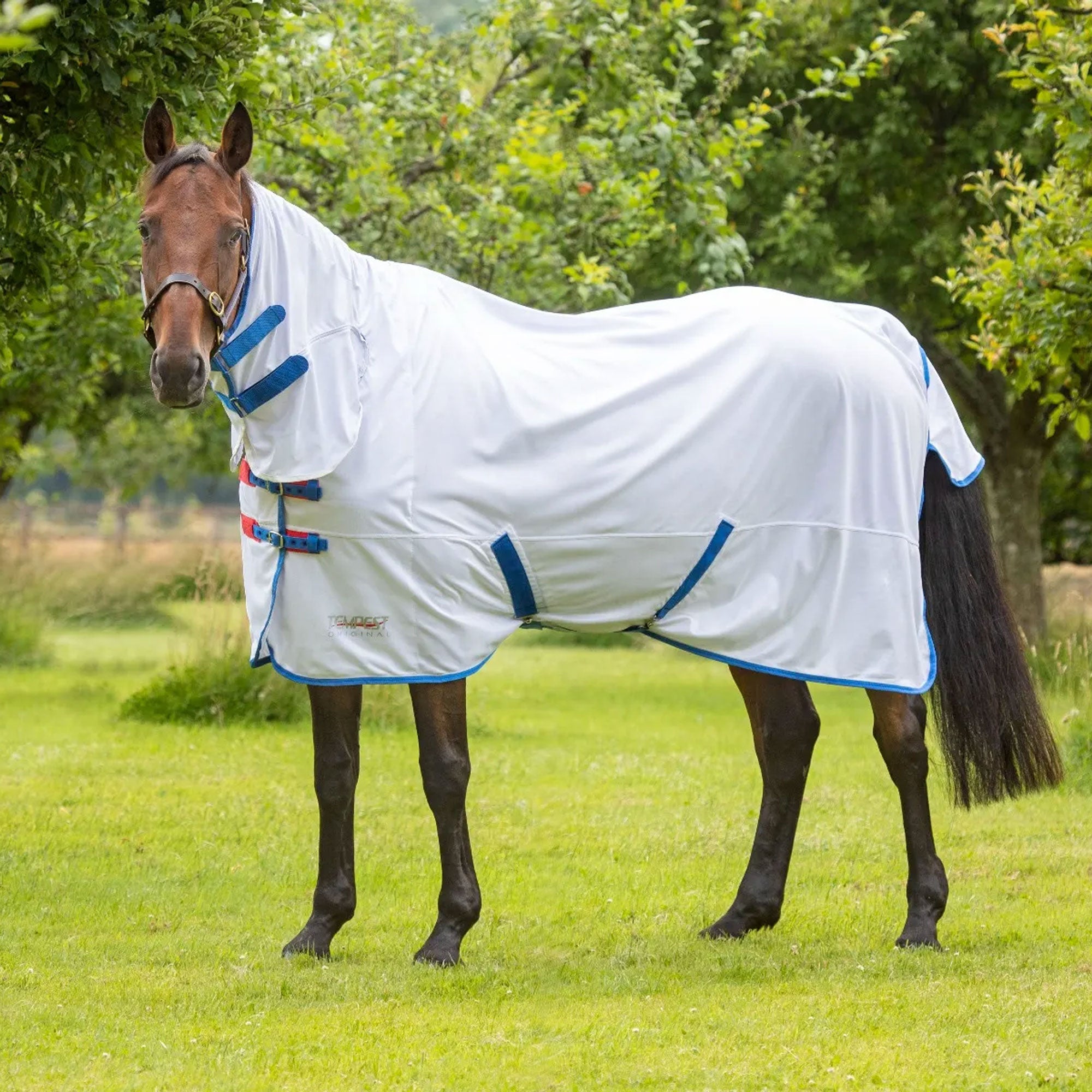 Shires Tempest Original Fly Rug Combo - White | Millbry Hill