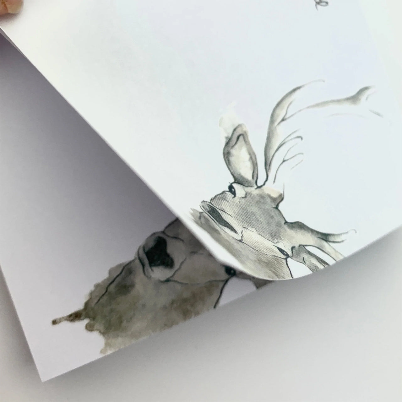 Clare Baird Highland Stag Sticky Notes | Millbry Hill