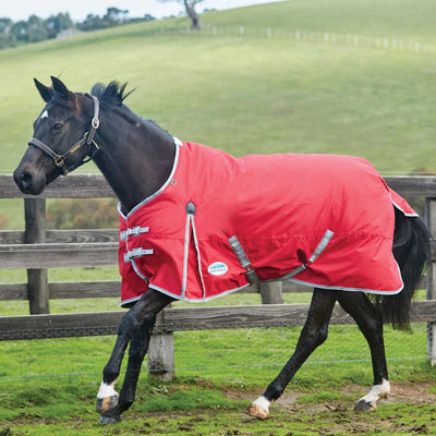 Lightweight Turnout Rugs: 0g, 50g & 100g Fill Turnouts | Millbry Hill