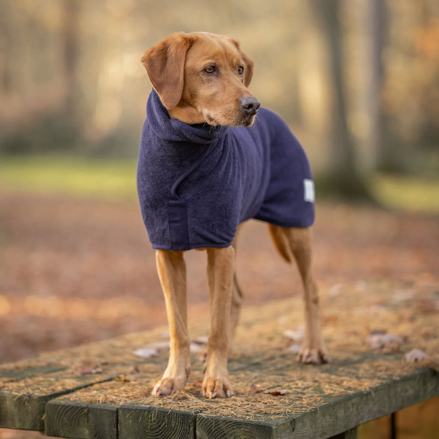 Ruff Tumble Classic Dog Drying Coat Millbry Hill
