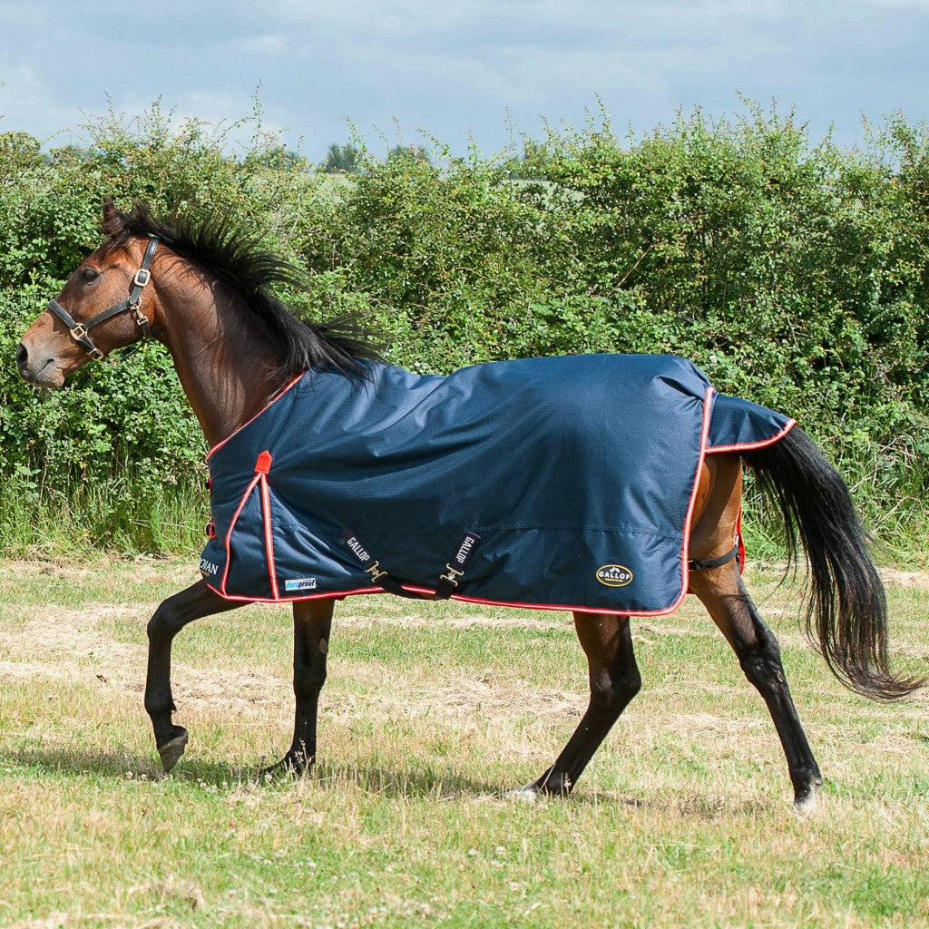 Gallop TROJAN 200 Duraproof Standard Turnout - Navy | Millbry Hill