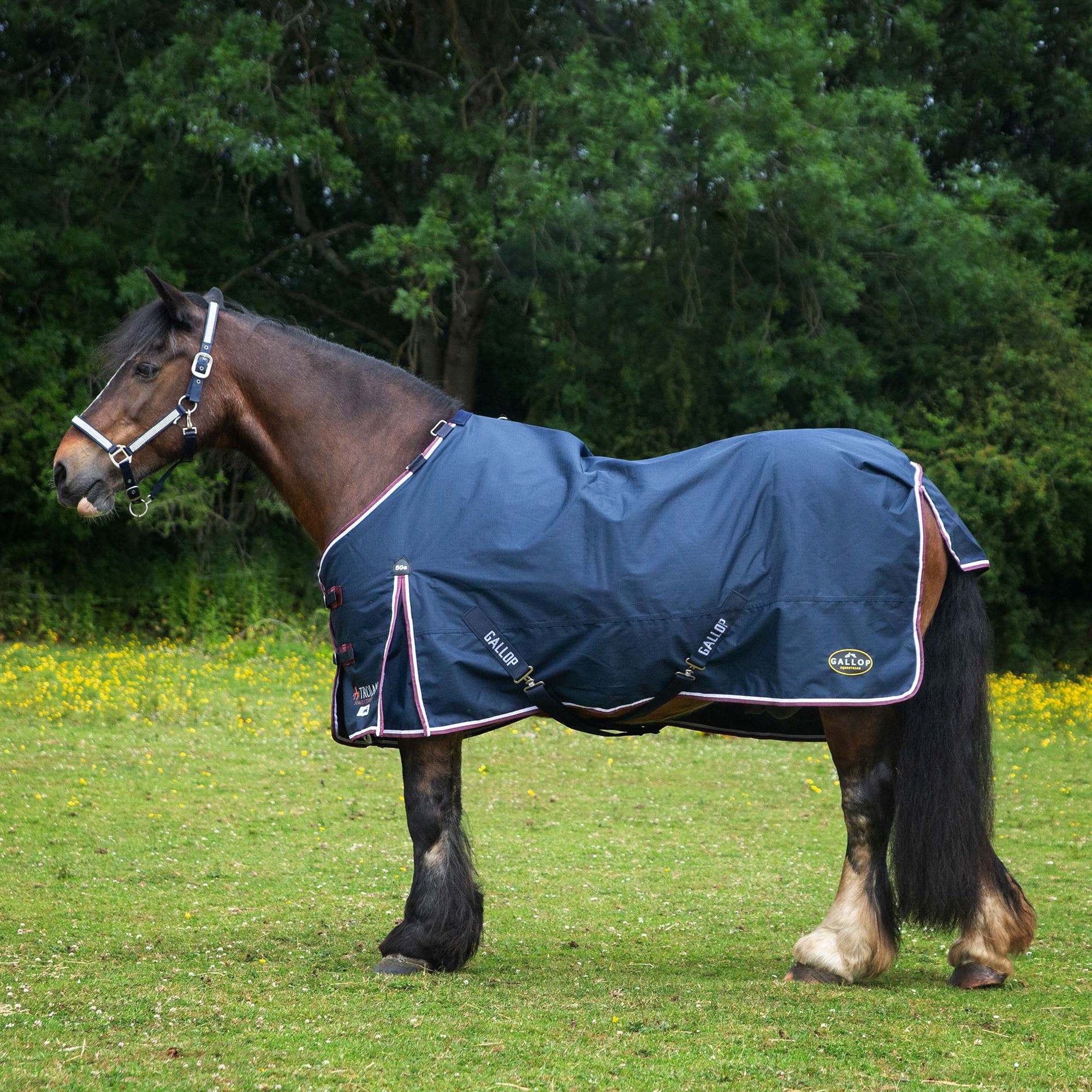 Gallop Trojan 50g Standard Turnout Rug - Navy | Millbry Hill