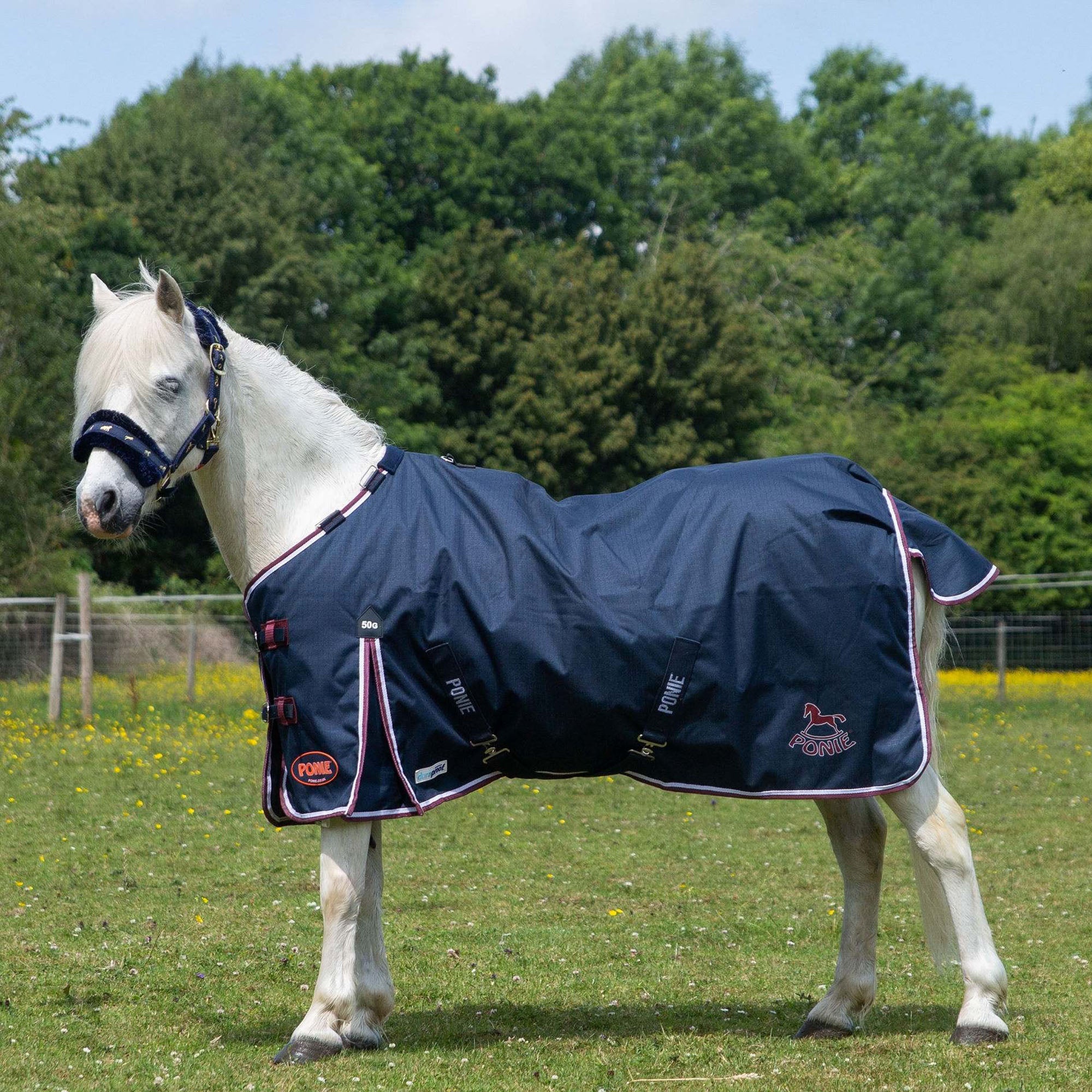 Gallop PONIE 50g Standard Turnout Rug - Navy | Millbry Hill