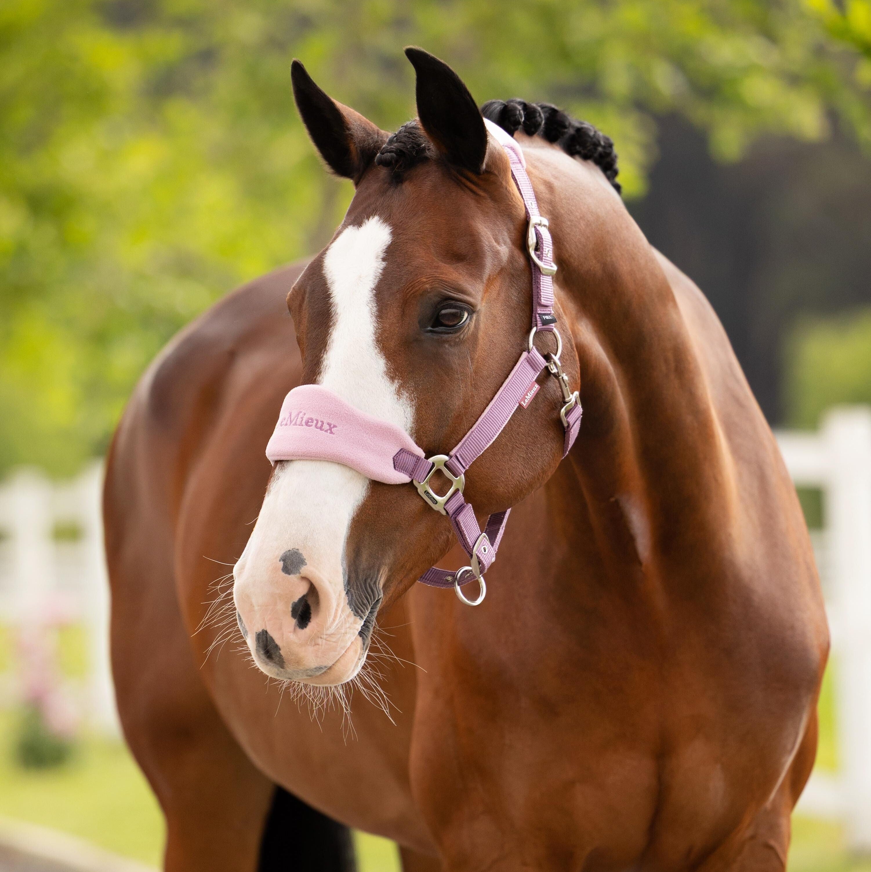 LeMieux Vogue Headcollar & Leadrope - Mallow Pink | Millbry Hill