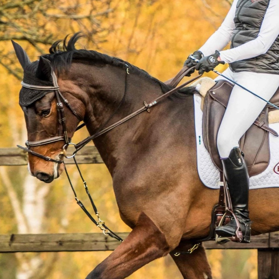 EquiAmi Standard Combi Training Aid | Millbry Hill