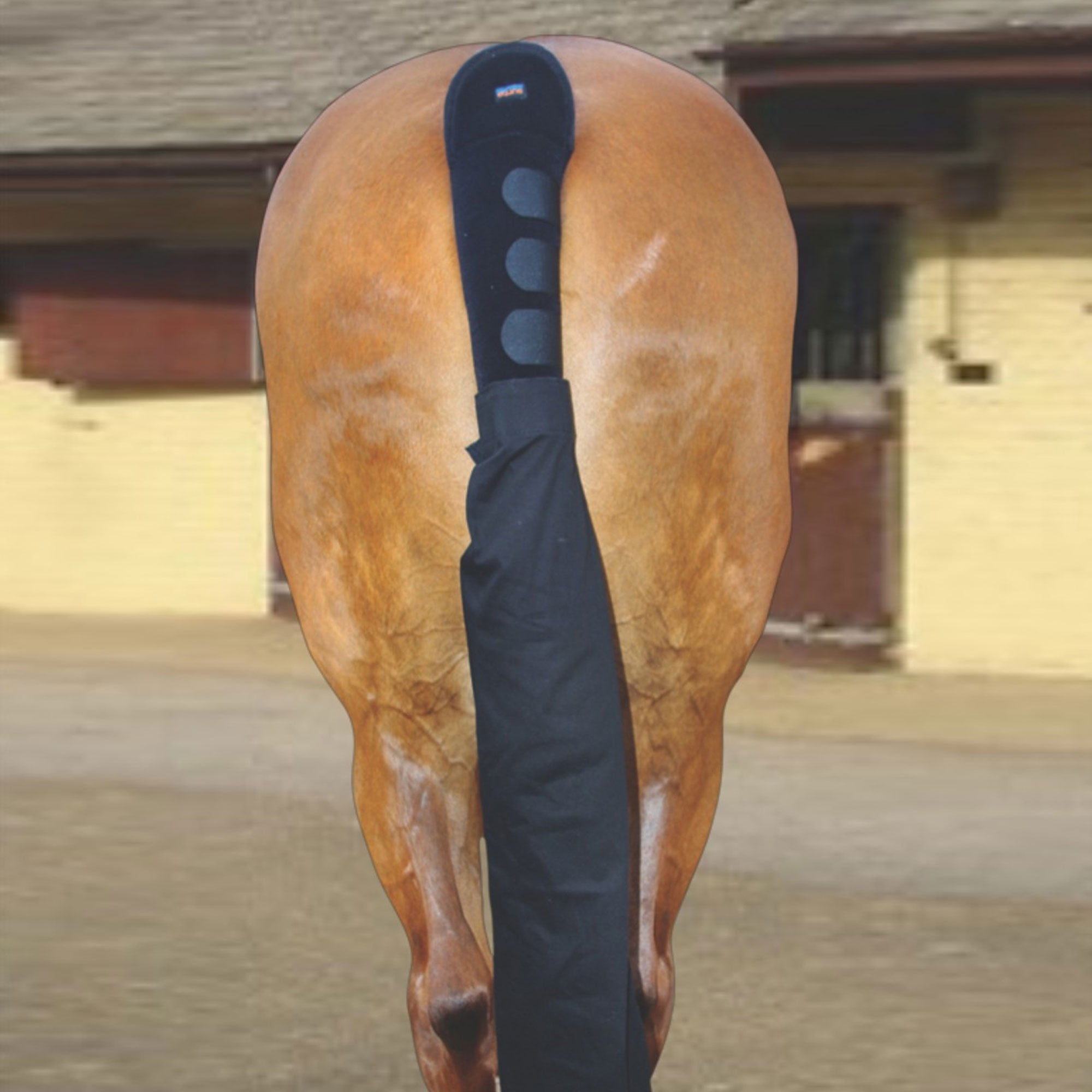 Premier Equine Tail Guard with Detachable Bag | Millbry Hill