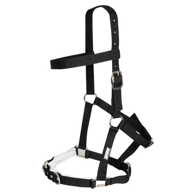 Horse Lunging Equipment & Training Aids | Millbry Hill