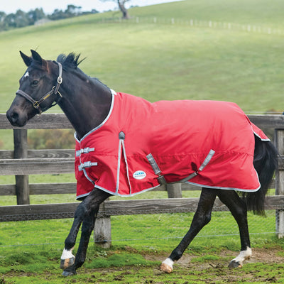 Weatherbeeta Turnout Rugs & Outdoor Horse Rugs - Millbry Hill